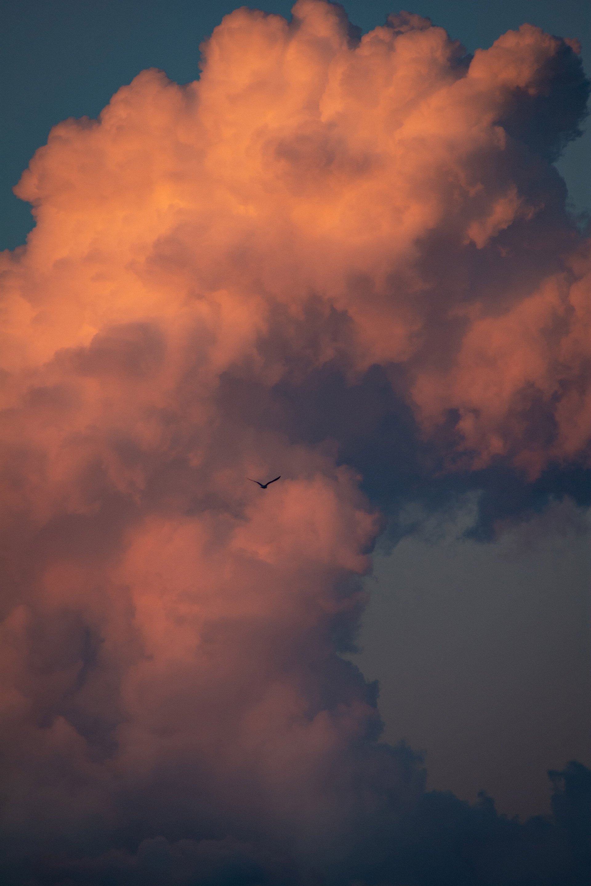 A Dream In The Clouds